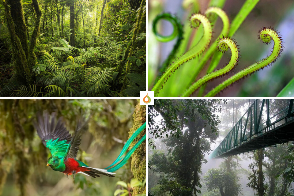 Dive and Explore the Depths of the Sea - Essential Costa Rica